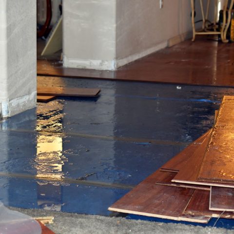 Flood Damage Restoration - All Dry Services of the Des Moines