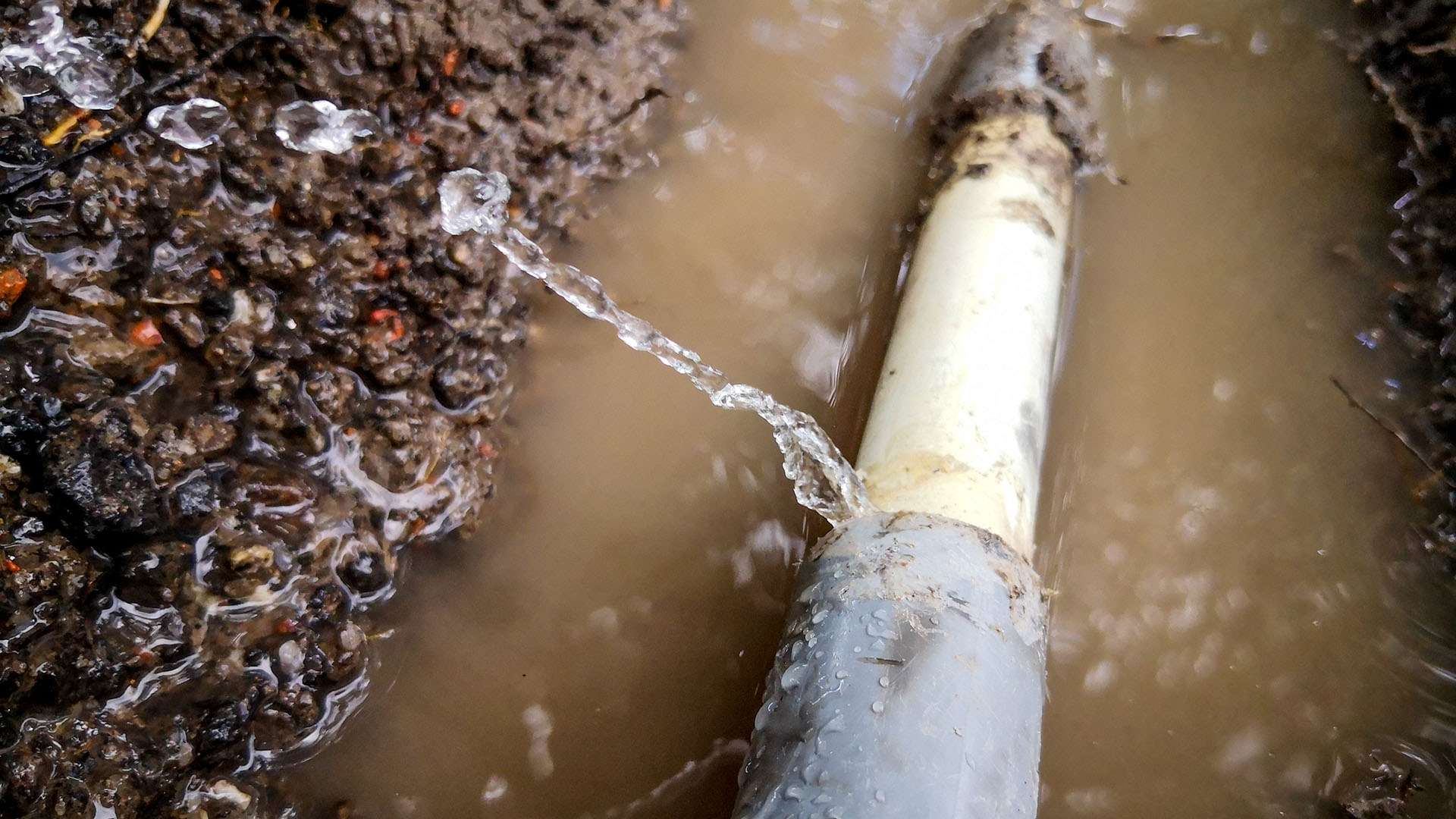 Water Leak Detection - All Dry Services of East Tennessee