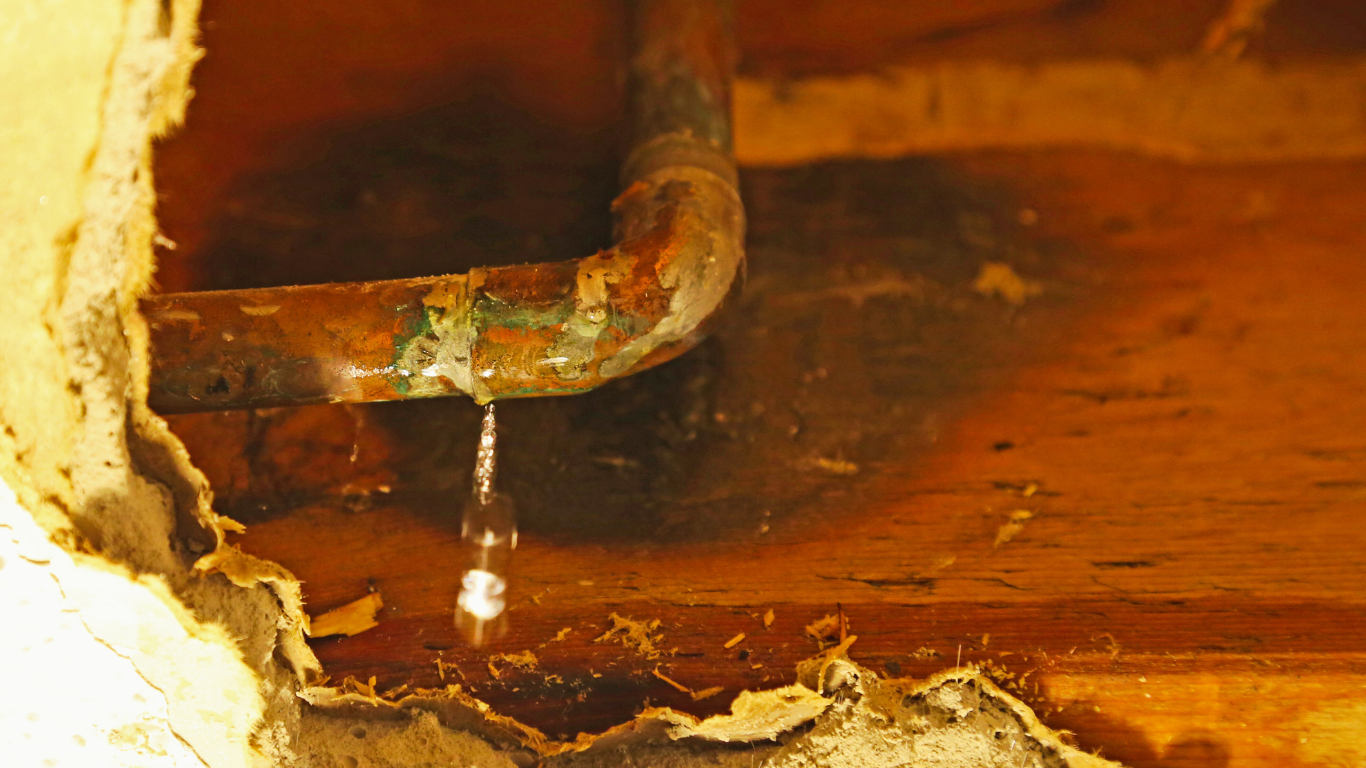 The Hidden Leak Seekers How Water Leak Detection Uncovers Sneaky Drips