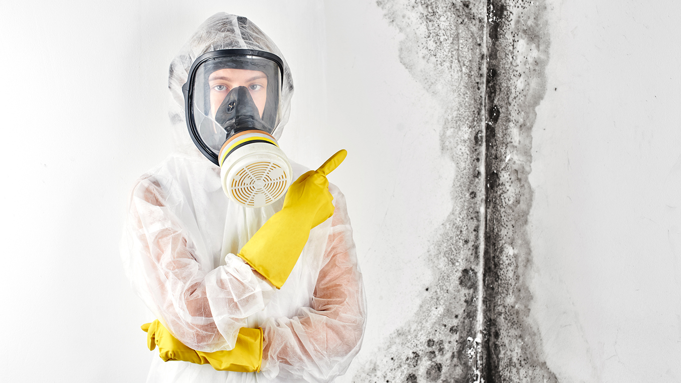 Mold Removal And Remediation - All Dry Services of Greater Charlotte