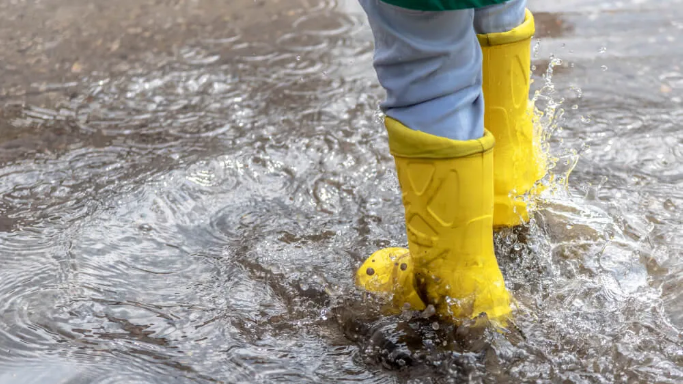 Water Mitigation in Metairie, LA: Minimizing Damage and Restoring ...