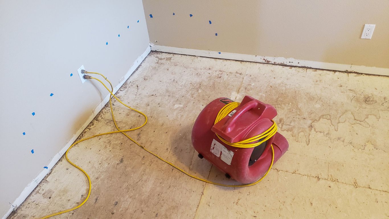 Our Step-by-Step Water Damage Restoration Process in Chicagoland